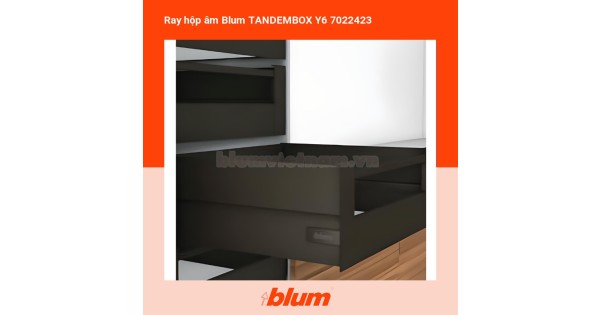 Ray hộp âm Blum TANDEMBOX Y6 7022423